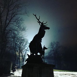 Stuart Bowman - actor - biography, photo, best movies and TV shows