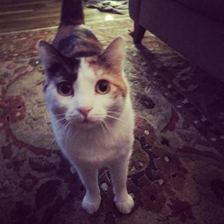 Scott Sell - actor - biography, photo, best movies and TV shows