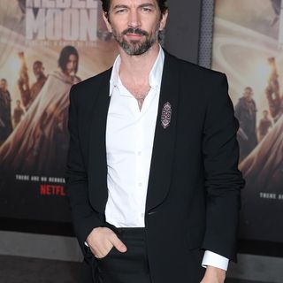 Michiel Huisman - actor - biography, photo, best movies and TV shows