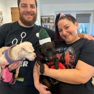 Rena Sofer - actress - biography, photo, best movies and TV shows