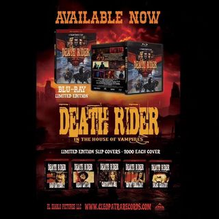 Kim Director - actress - biography, photo, best movies and TV shows