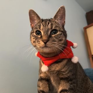 Stephanie Belding - actress - biography, photo, best movies and TV shows