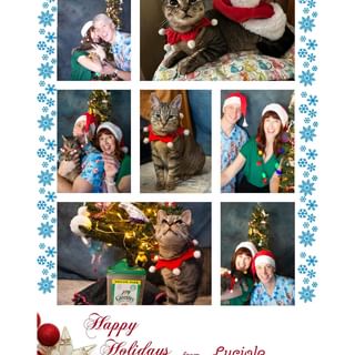 Stephanie Belding - actress - biography, photo, best movies and TV shows