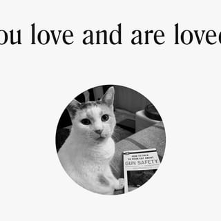 Stephanie Belding - actress - biography, photo, best movies and TV shows