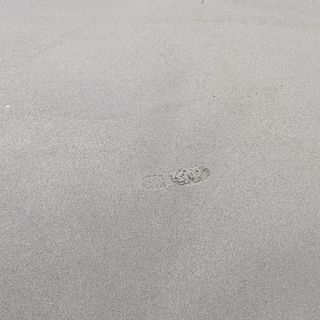 Emma Johnson - actress, editor, producer