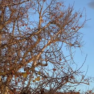 Alex Désert - actor, producer - biography, photo, best movies and TV shows