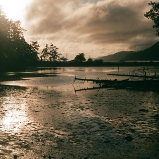 Emma Johnson - actress, editor, producer