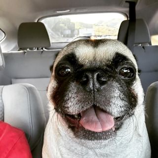 Dana Vespoli - director, actress, writer, producer, camera