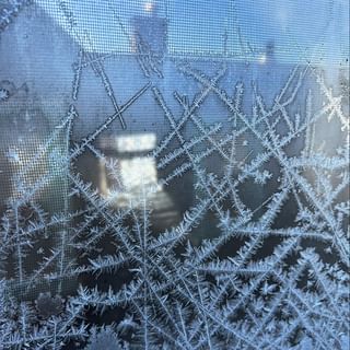 Claire Rankin - actress - biography, photo, best movies and TV shows