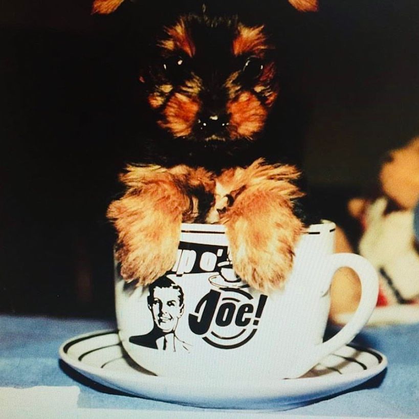 Amy Locane - actress - biography, photo, best movies and TV shows