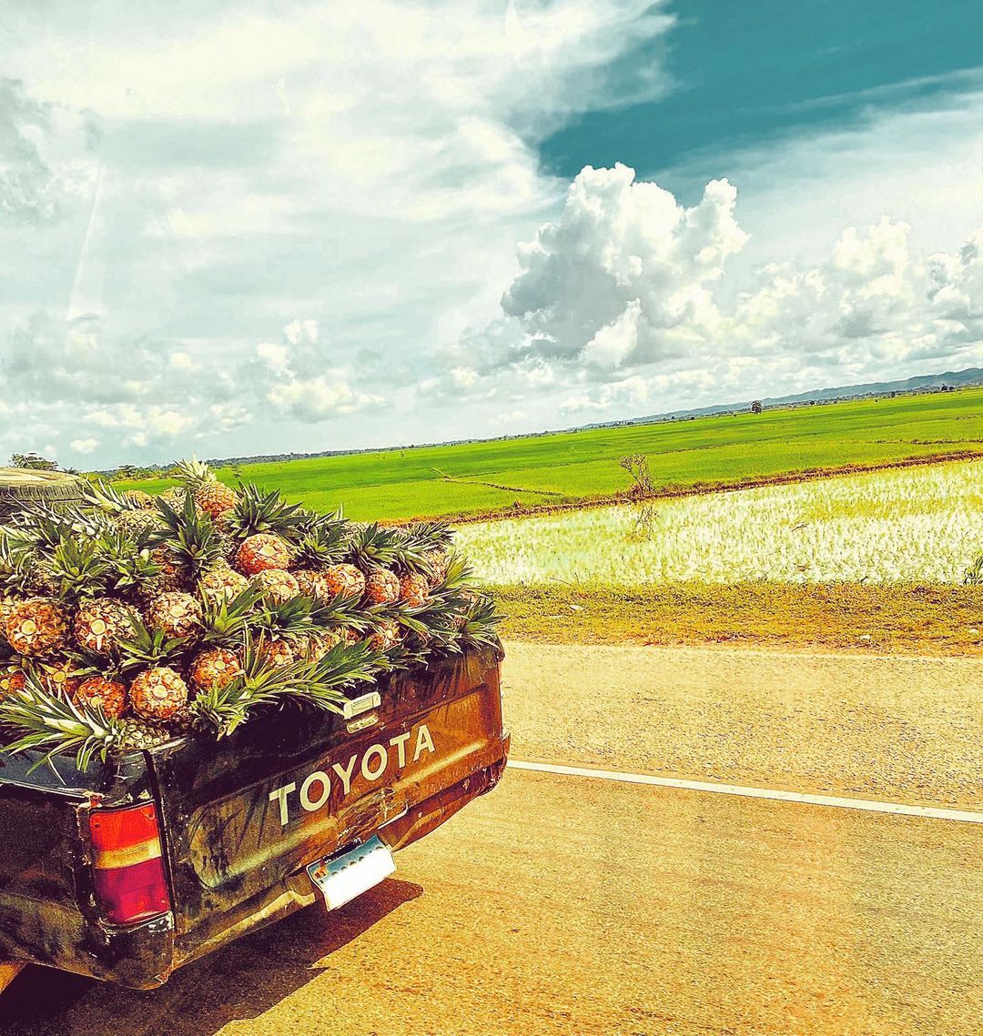 Rob Collins - actor - biography, photo, best movies and TV shows