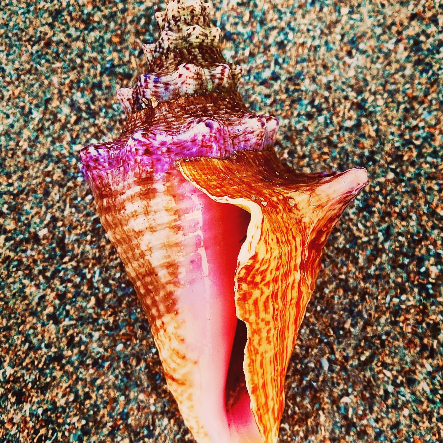 Rob Collins - actor - biography, photo, best movies and TV shows