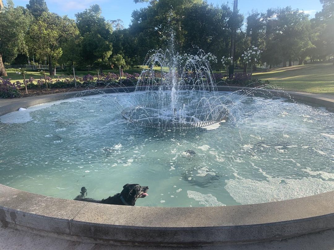 Nathan Page - actor - biography, photo, best movies and TV shows