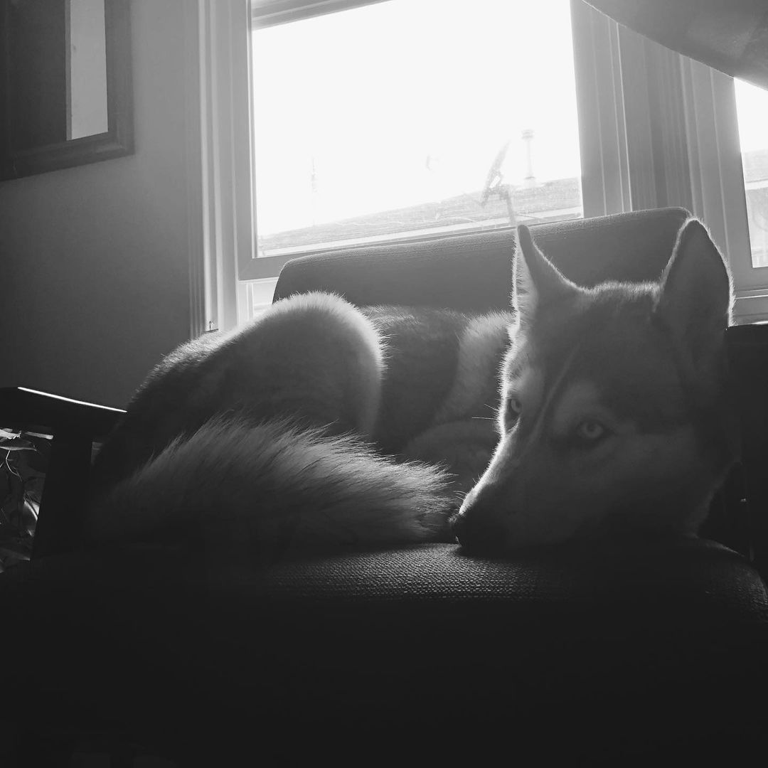 Dylan Rourke - actor, writer, producer