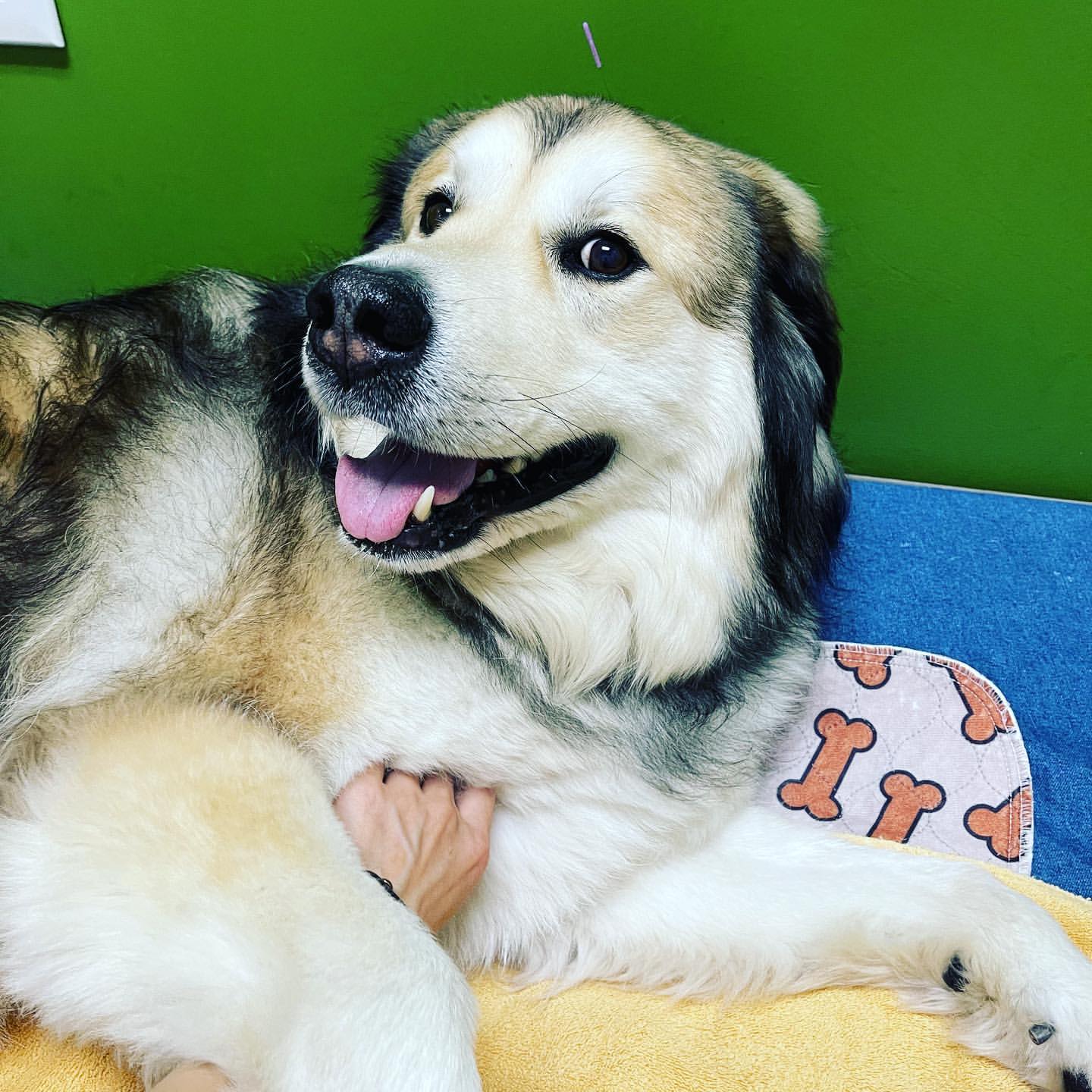 Nina Manni - actress, writer, producer