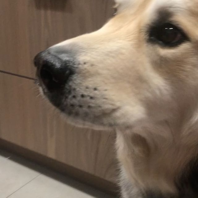 Nina Manni - actress, writer, producer