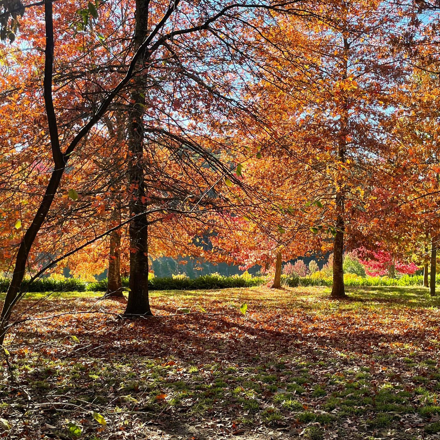 Nathan Page - actor - biography, photo, best movies and TV shows