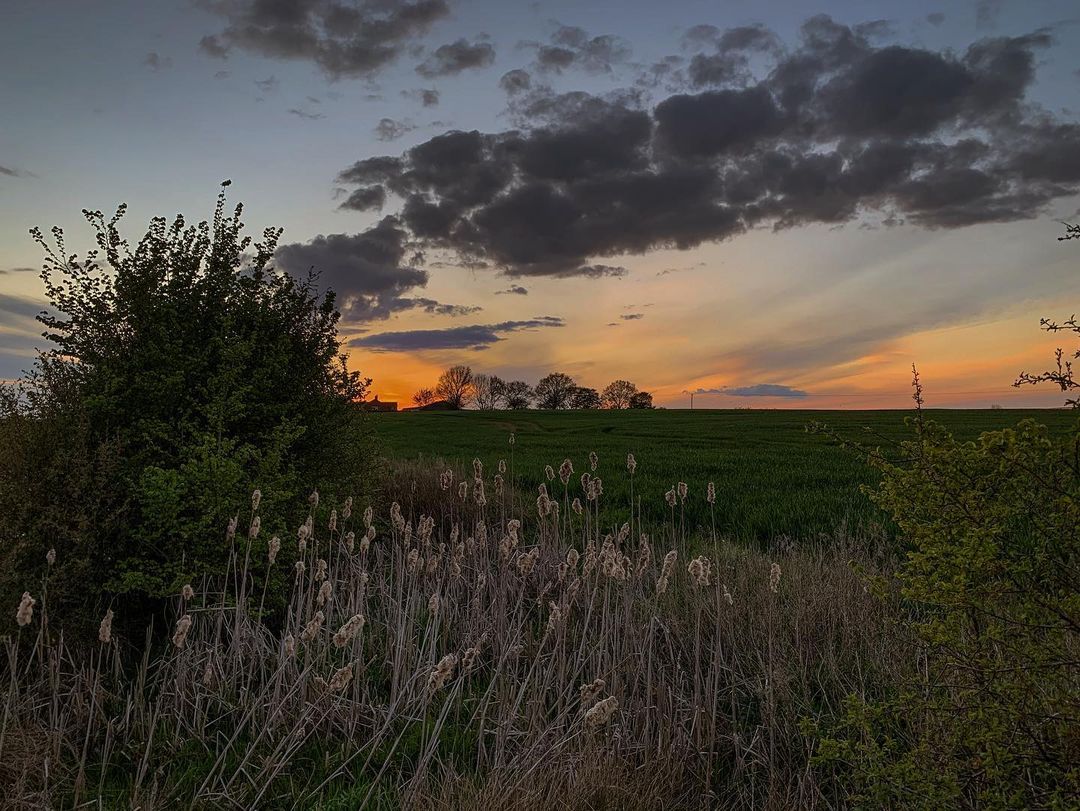 Dominic Mafham - actor - biography, photo, best movies and TV shows