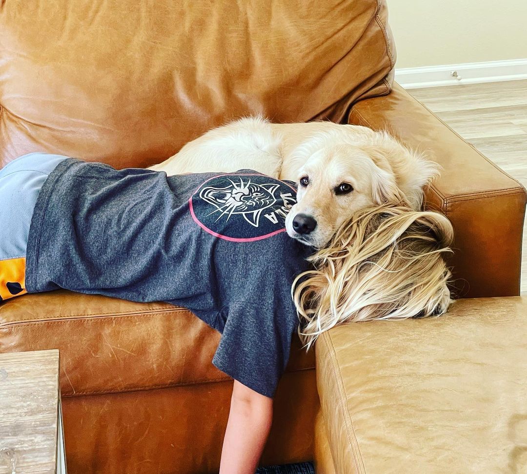 Rob Estes - actor, director - biography, photo, best movies and TV shows