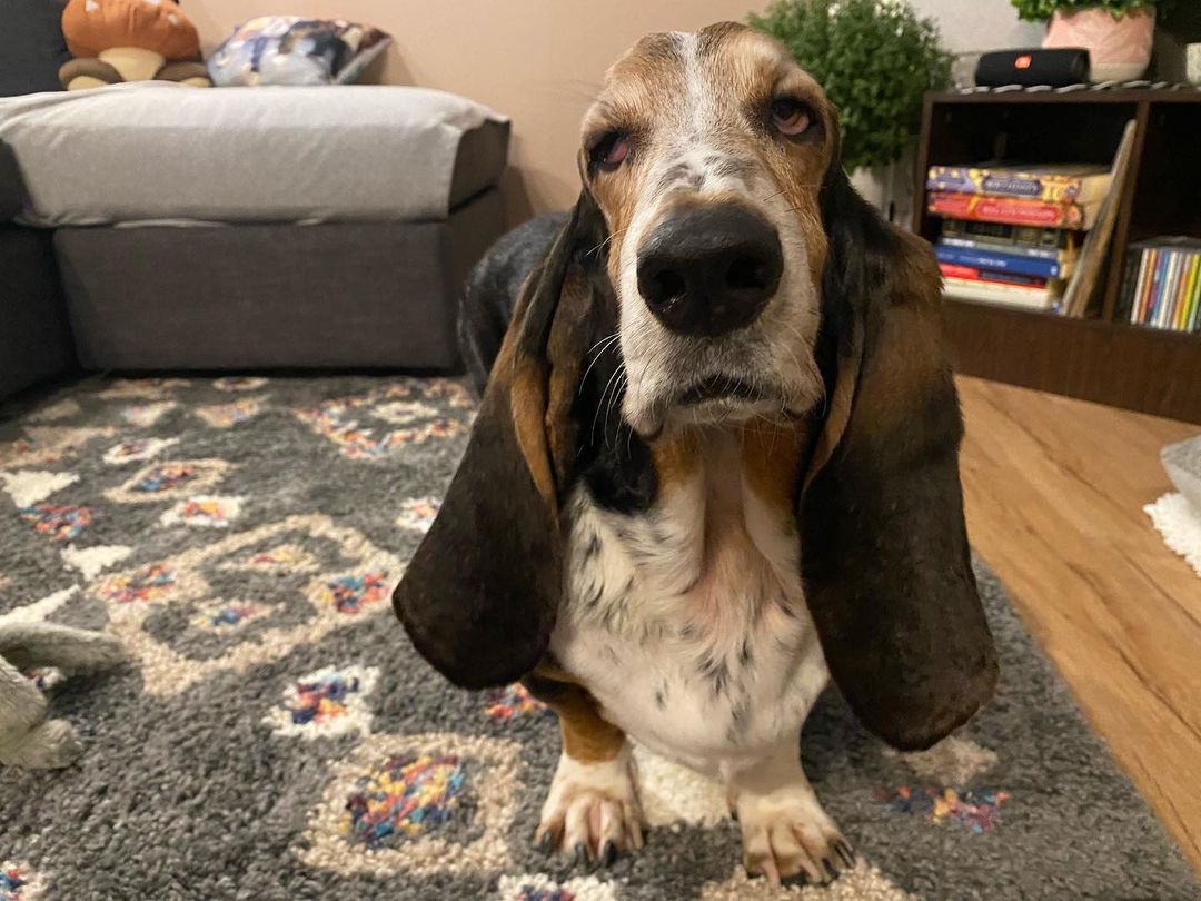 Levy Tran - actress - biography, photo, best movies and TV shows