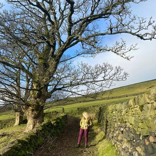 Alice Feetham - actress - biography, photo, best movies and TV shows