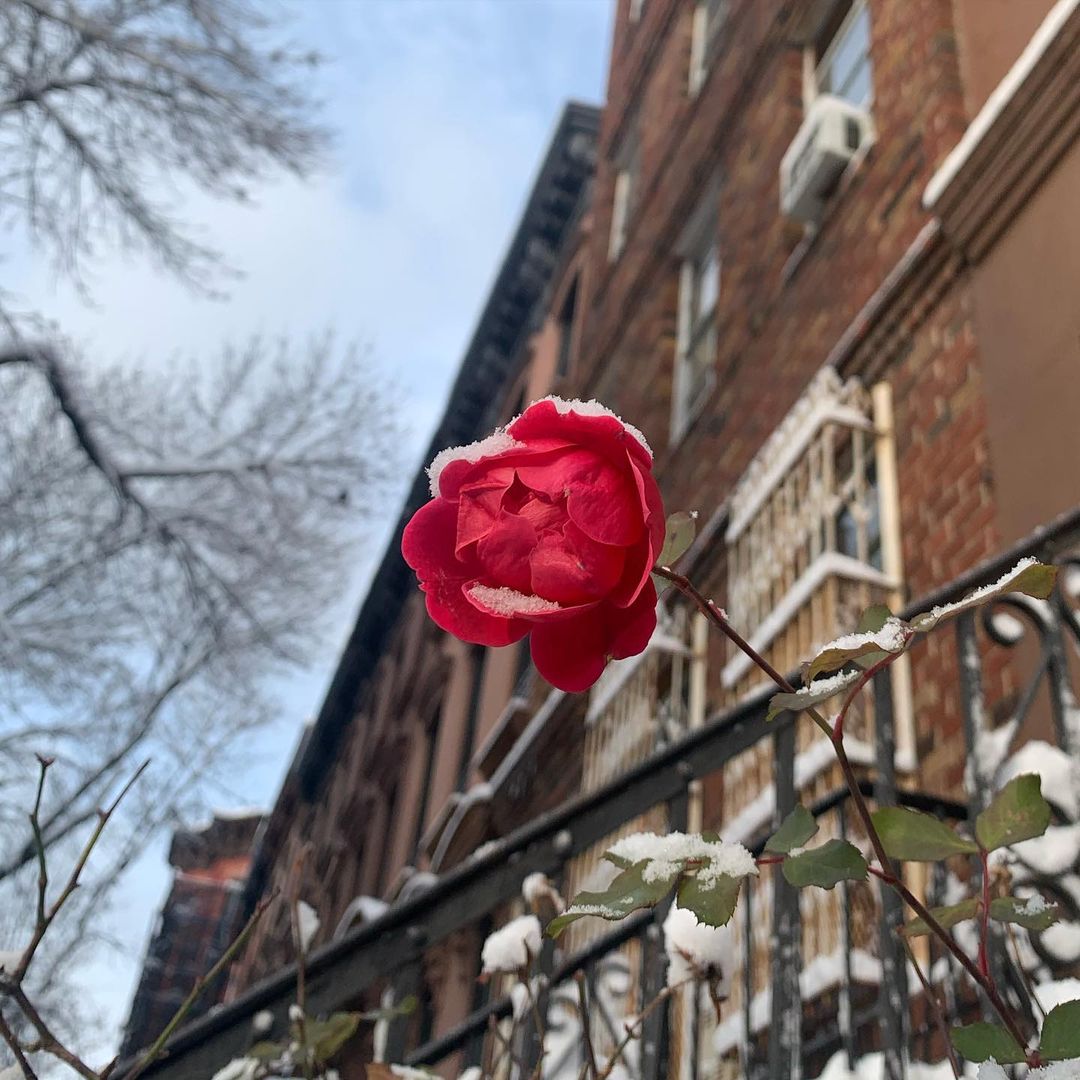 Robert Stanton - actor - biography, photo, best movies and TV shows