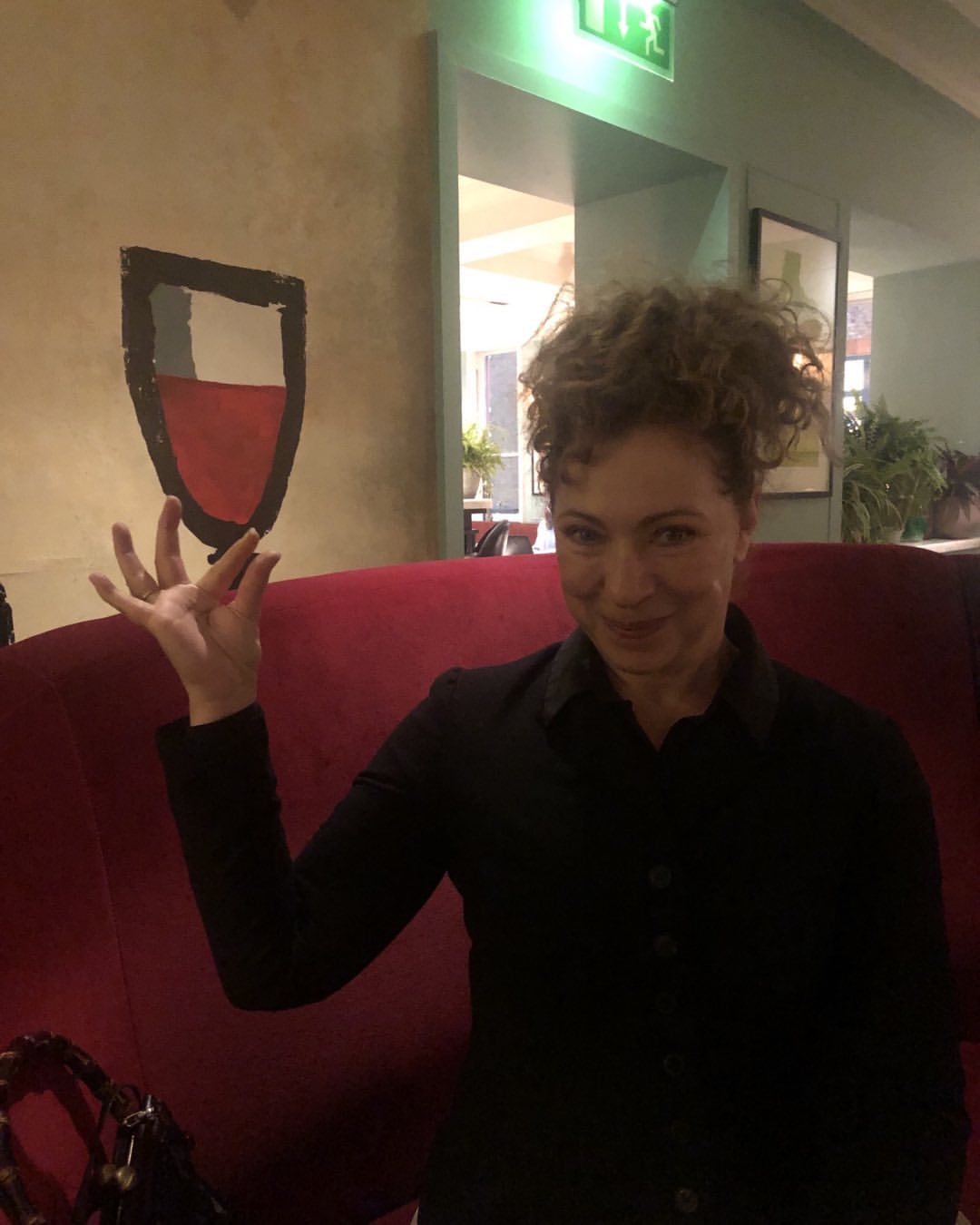 Alex Kingston - actress - biography, photo, best movies and TV shows