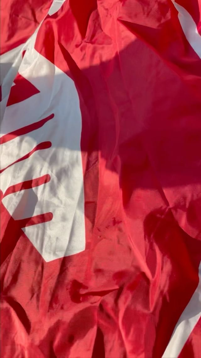 Wesley French - actor - biography, photo, best movies and TV shows