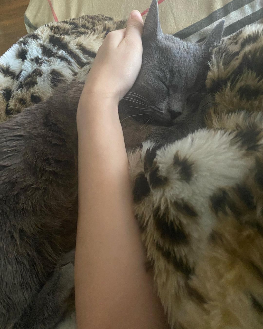 Samantha Opitz - actress - biography, photo, best movies and TV shows