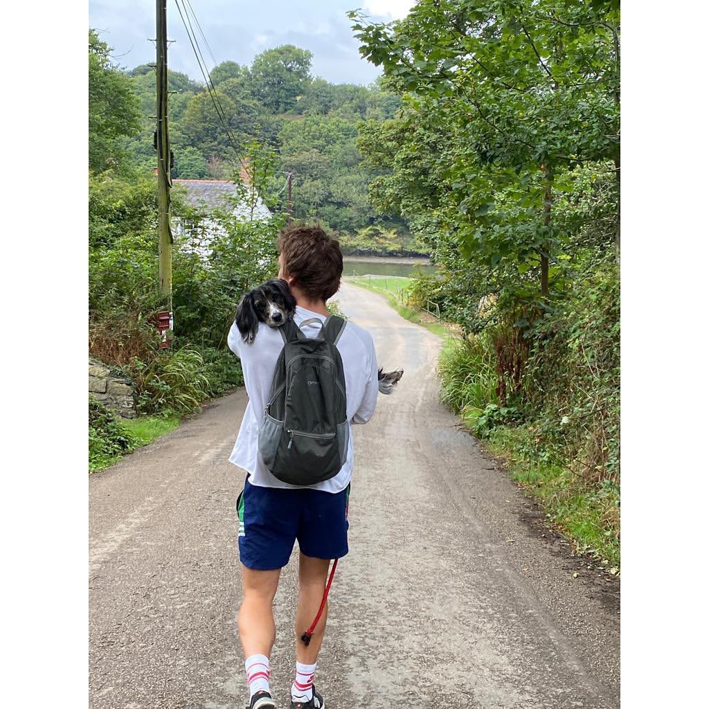 Freddie Wise - actor - biography, photo, best movies and TV shows