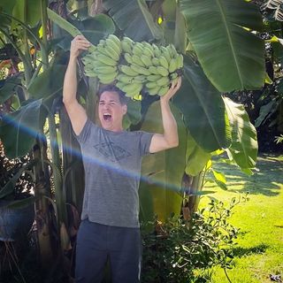 T.R. Knight - actor - biography, photo, best movies and TV shows