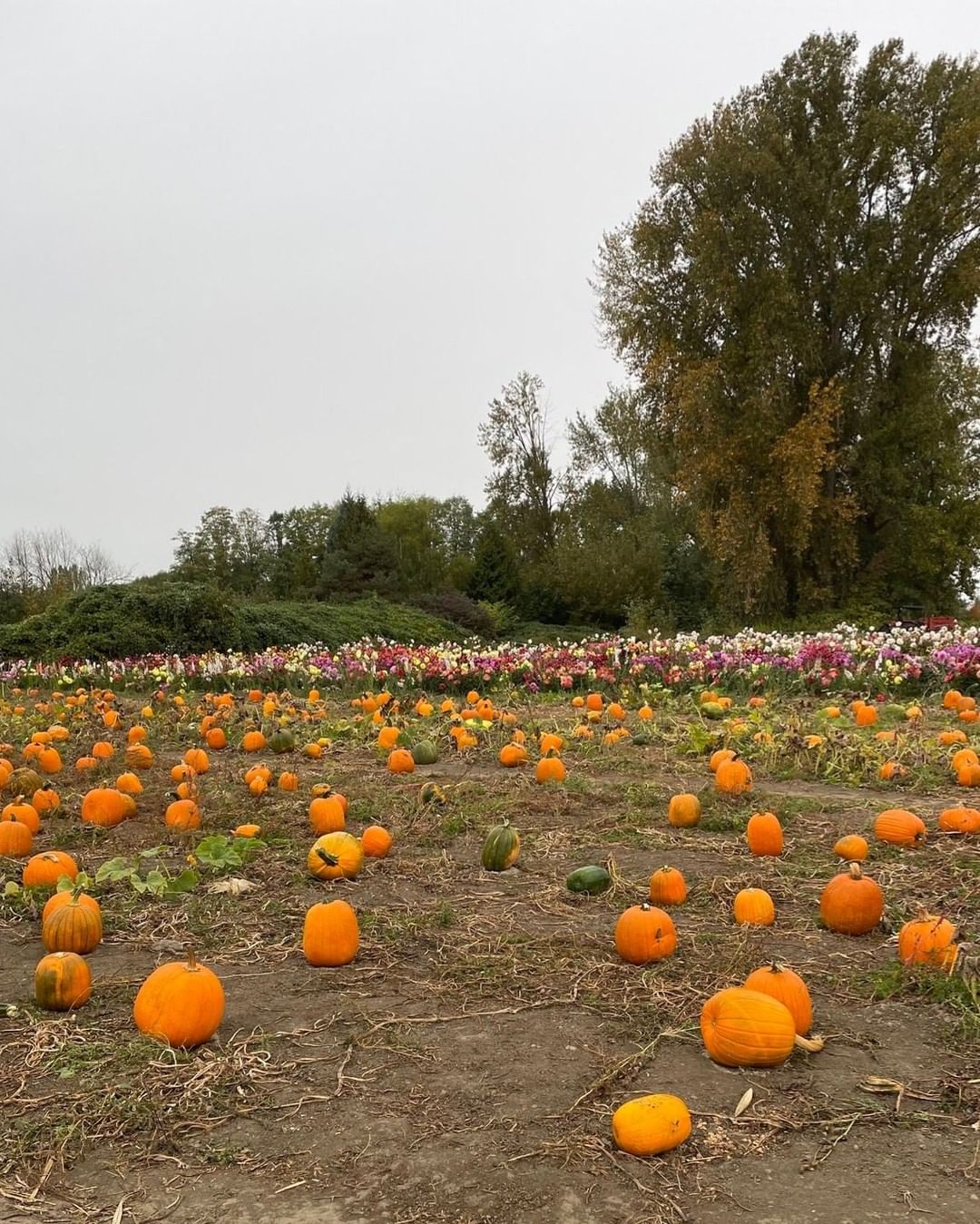 Laura Bertram - actress - biography, photo, best movies and TV shows