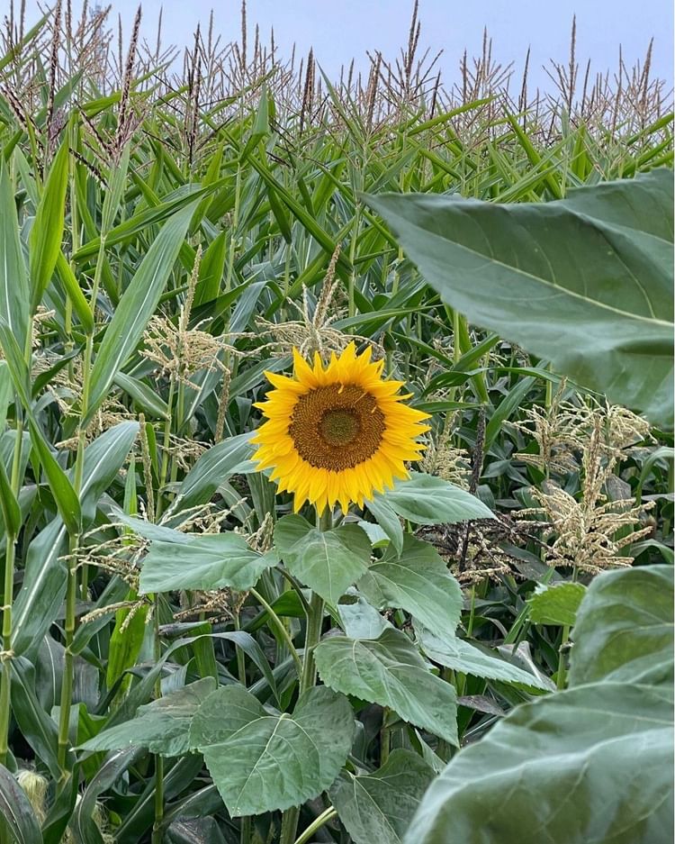 Laura Bertram - actress - biography, photo, best movies and TV shows