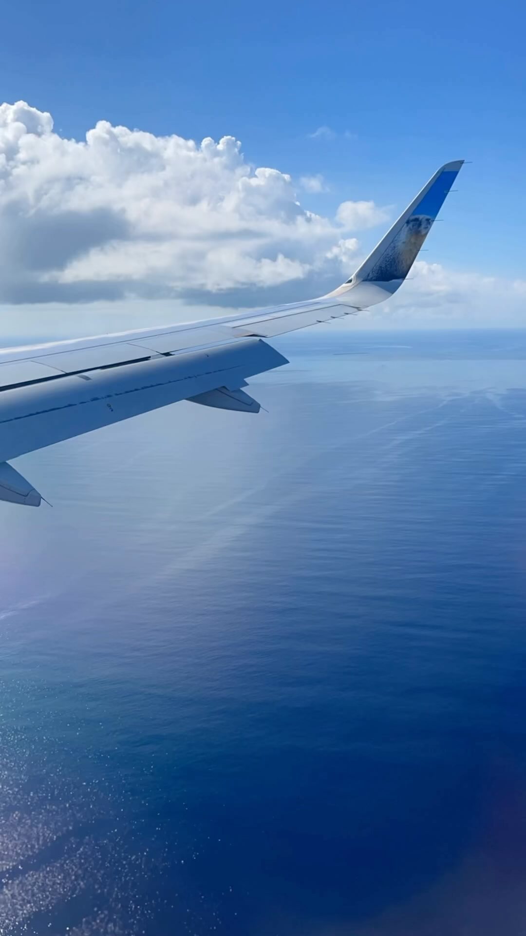 Brandon Burke - actor - biography, photo, best movies and TV shows