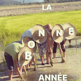 Eléonore Bernheim - actress - biography, photo, best movies and TV shows