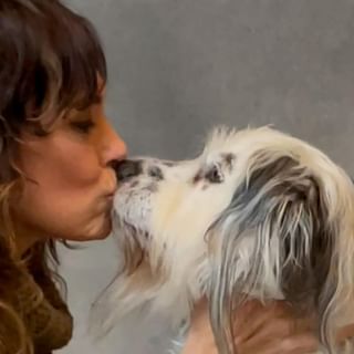 Michelle Forbes - actress - biography, photo, best movies and TV shows