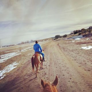 Kip Weeks - actor, producer - biography, photo, best movies and TV shows