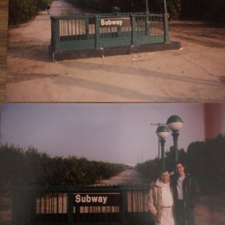 Teddy Coluca - actor - biography, photo, best movies and TV shows