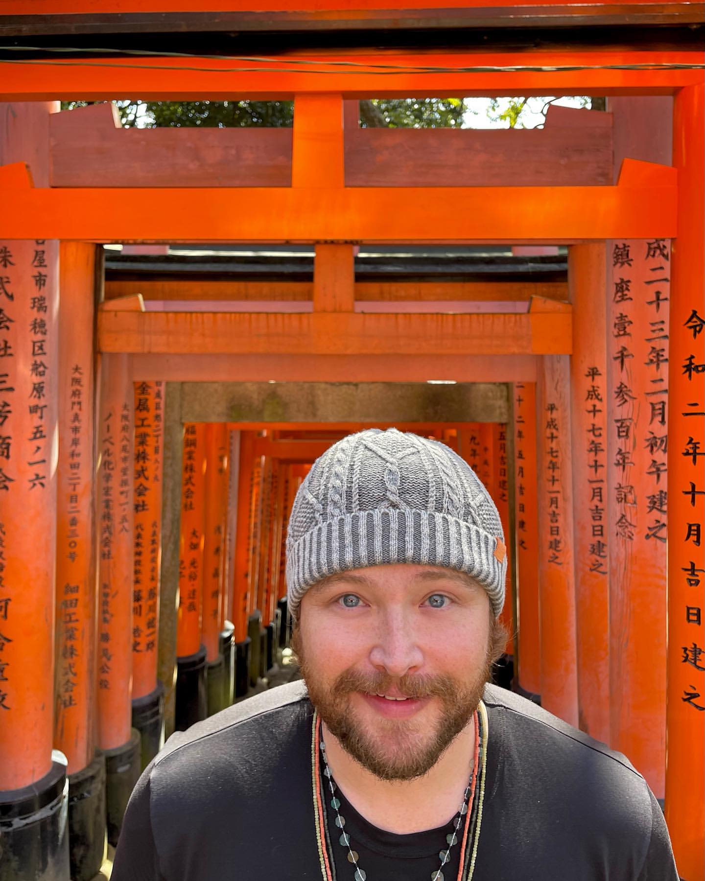 Sterling Knight - actor - biography, photo, best movies and TV shows