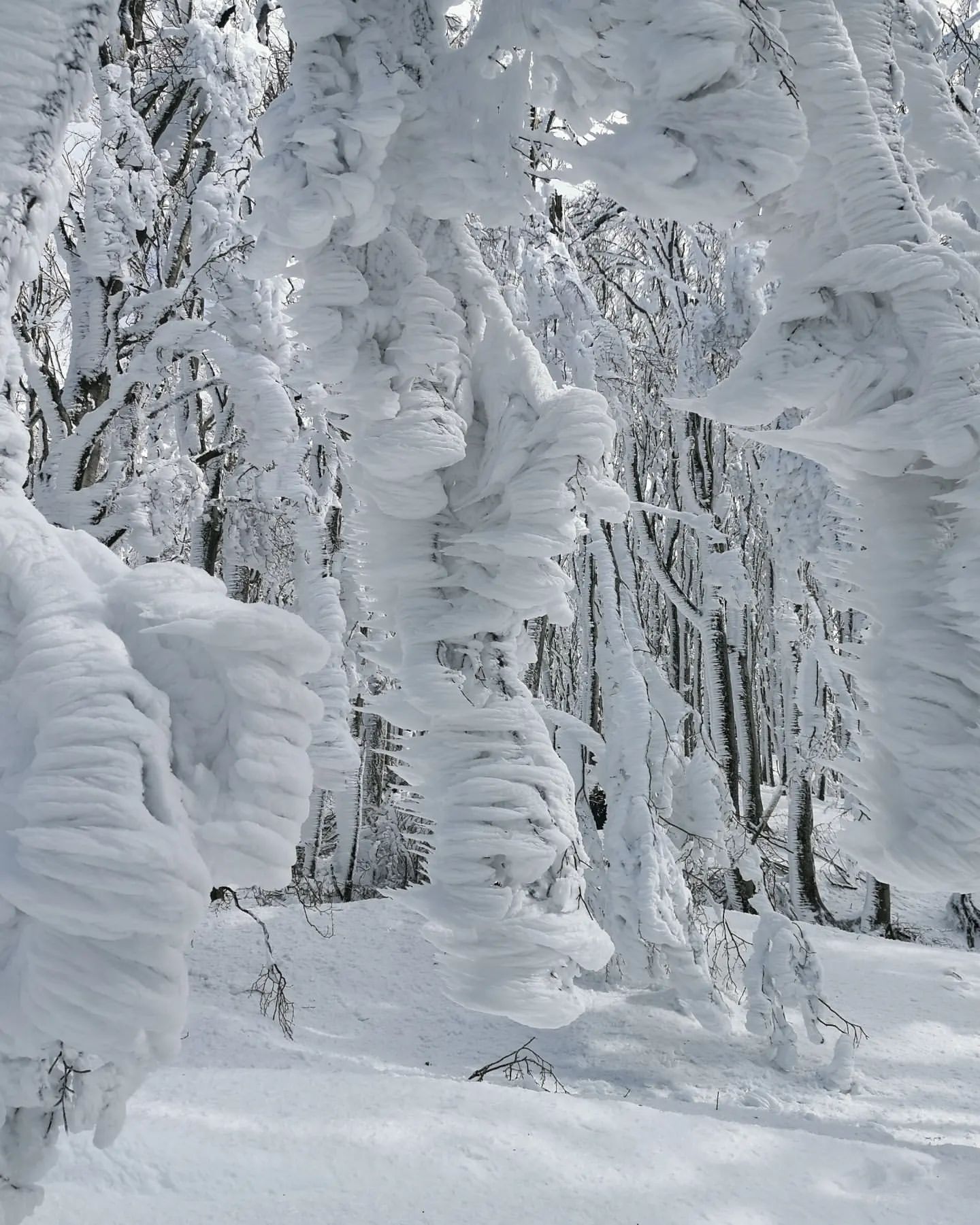 Anna Manuelli - actress - biography, photo, best movies and TV shows