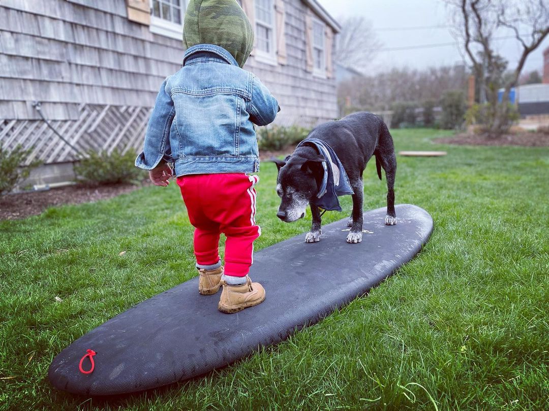 James Badge Dale - actor - biography, photo, best movies and TV shows