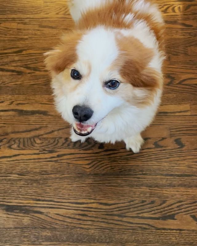 David Anders - actor - biography, photo, best movies and TV shows