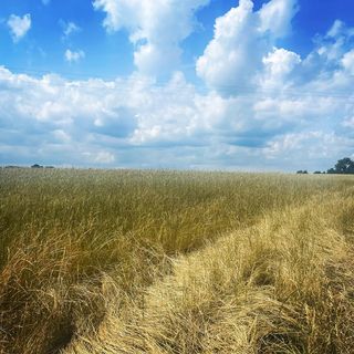 James Robinson - actor, producer