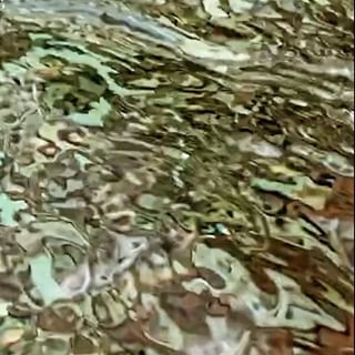 Joe Layton - actor - biography, photo, best movies and TV shows