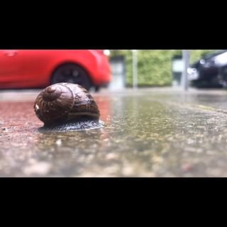 Joe Layton - actor - biography, photo, best movies and TV shows