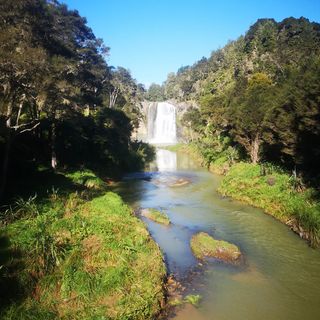 Jarod Rawiri - actor - biography, photo, best movies and TV shows