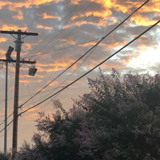 Ian Bloom - camera - biography, photo, best movies and TV shows