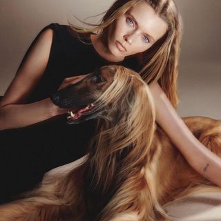 Abbey Lee - actress - biography, photo, best movies and TV shows