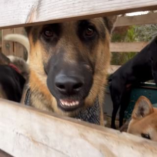 Griffin Blazi - actor - biography, photo, best movies and TV shows