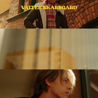 Valter Skarsgård - actor - biography, photo, best movies and TV shows